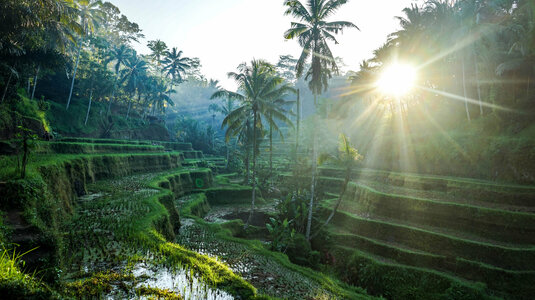 Bali & Java Rundreise buchen