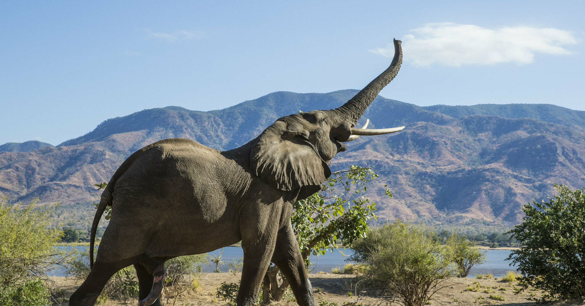 Simbabwe Rundreisen | Jetzt Termine für 2024/2025 buchen